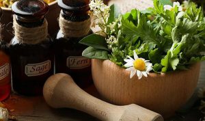 Which Herbal Supplements Are Best For Lowering Cortisol